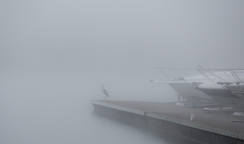 10 Tips for Boating in Fog | Discover Boating